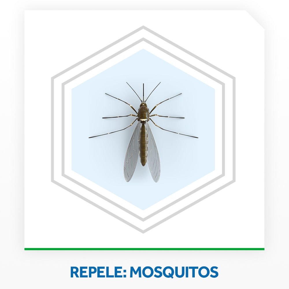 Inseticida Raid Liq Citronela 45N Rf 32.9ml | Prezunic