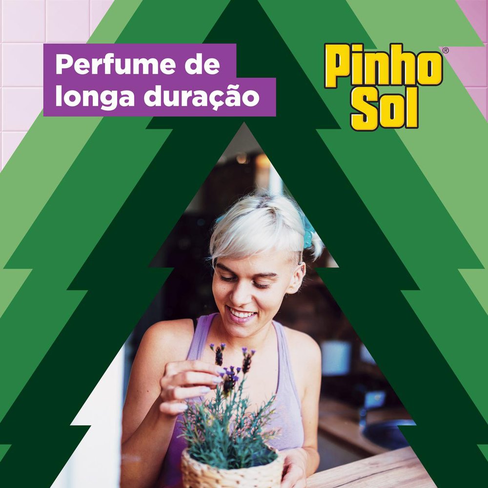 Desinfetante Pinho Sol Lavanda Frasco 500ml | Prezunic