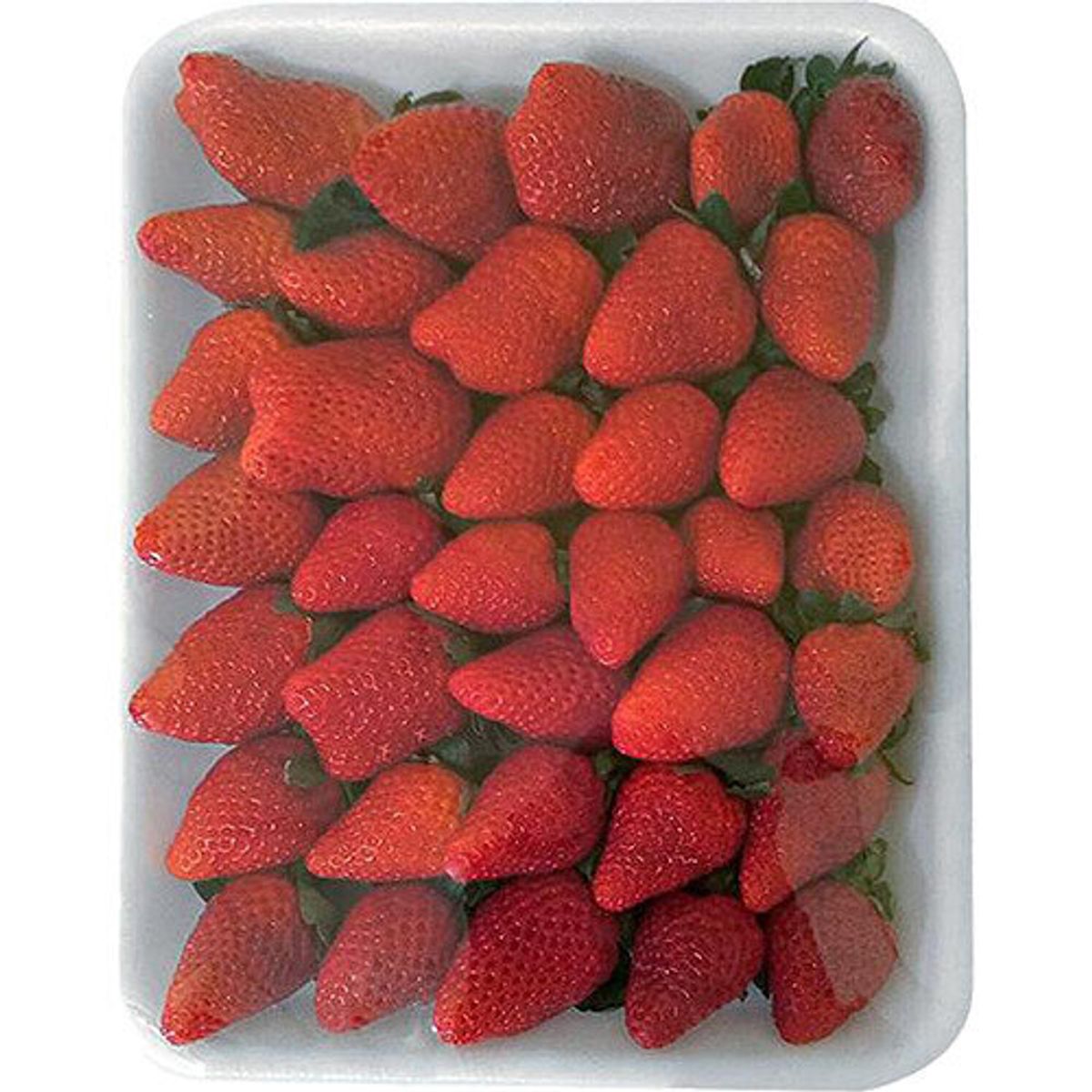 Morango 1kg | Prezunic